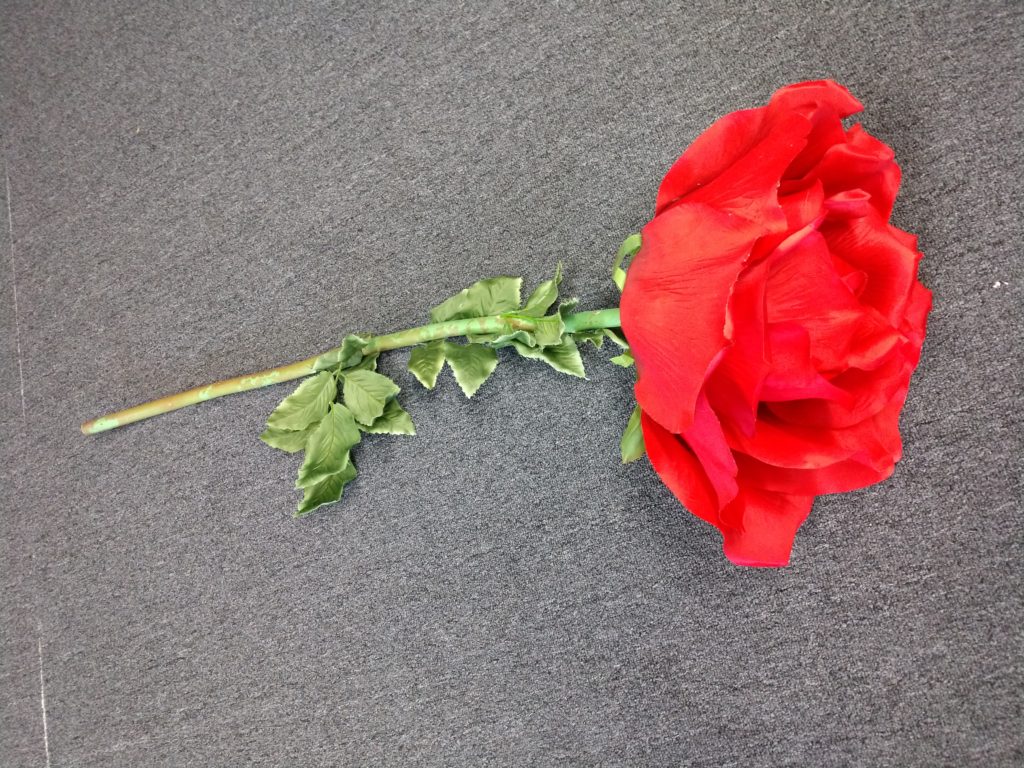 Props - Photo Booths Of Arkansas